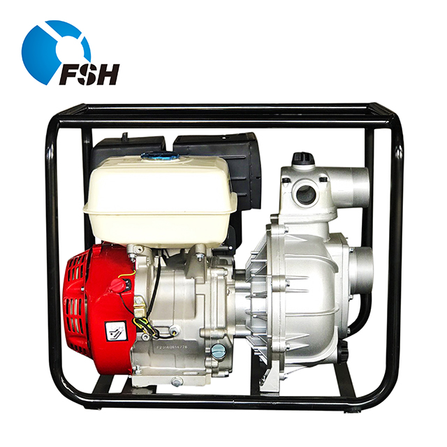 Portable Fire Fighting Water Pump